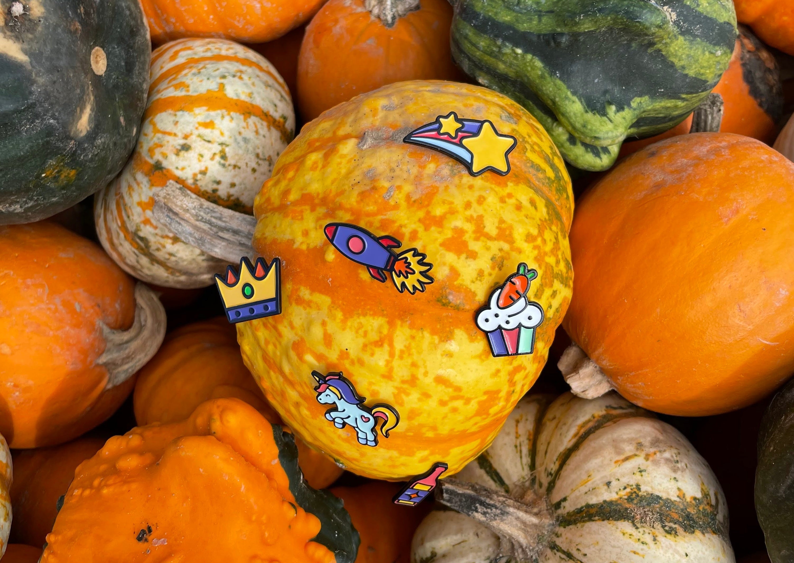 It's Decorative Gourd Season! – Pinsnickety