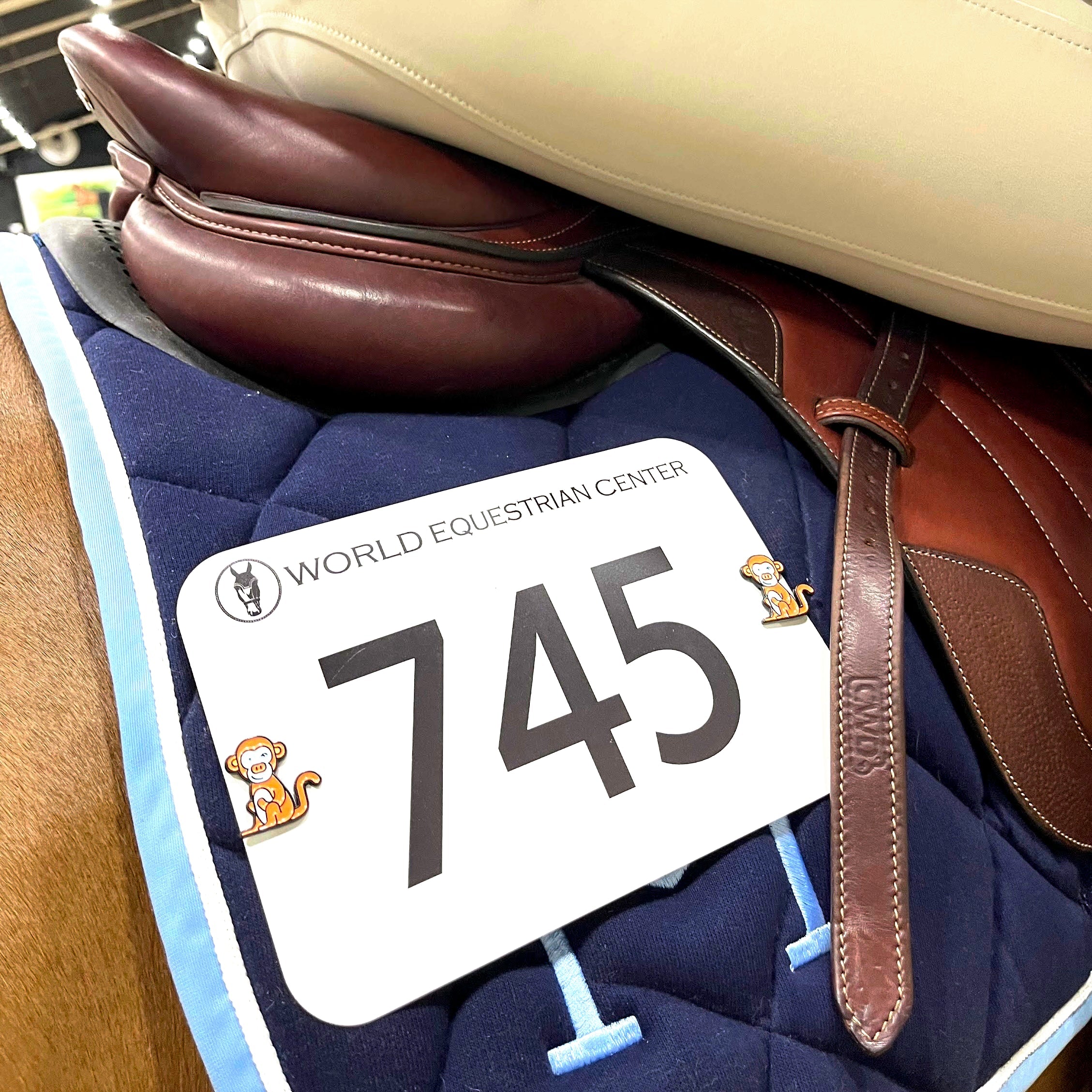 Monkeys – Pinsnickety