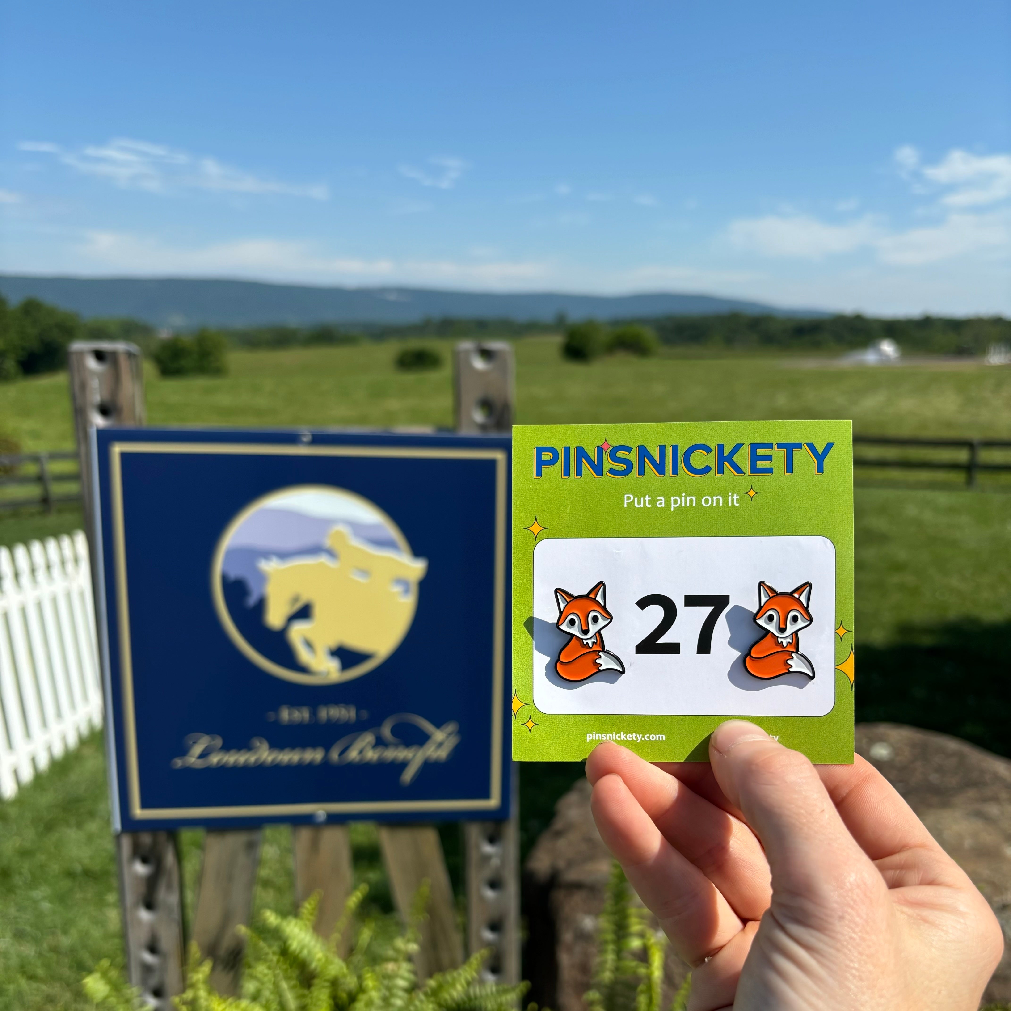 A Great Week at Loudoun – Pinsnickety