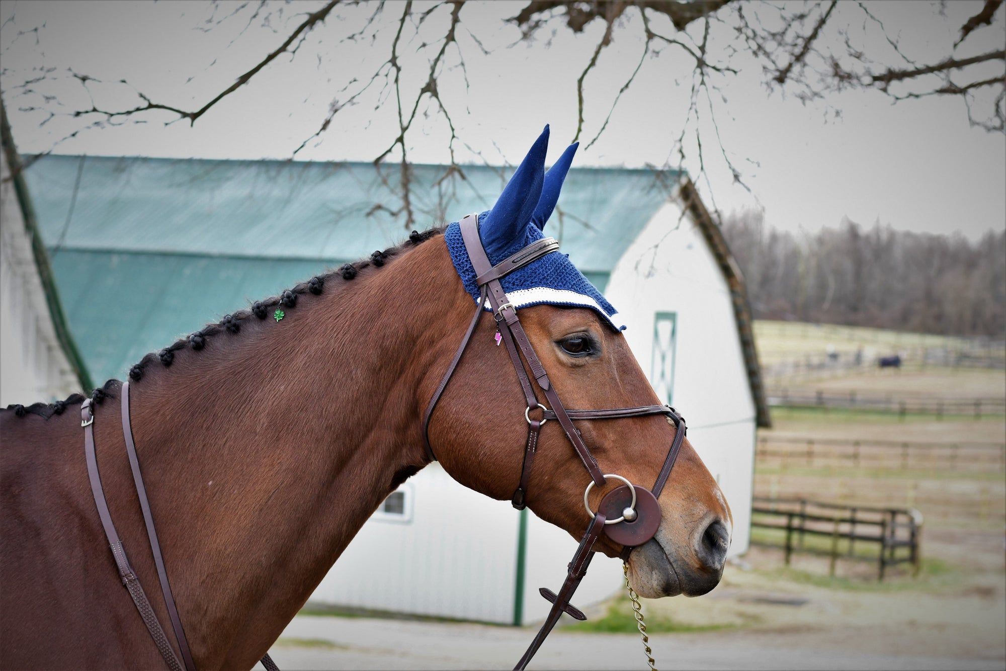 Pinsnickety: Put a pin on it.